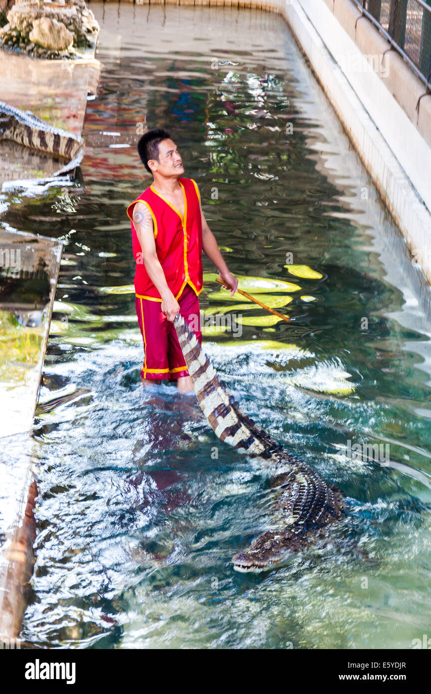 Crocodile show at Samphran Crocodile Farm on May 24, 2014 in Nakhon ...