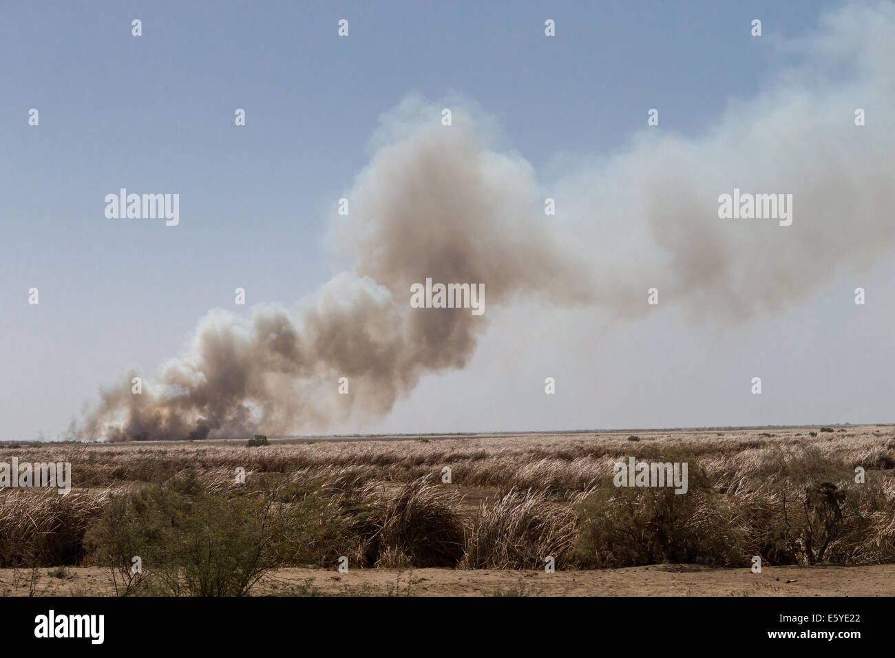 Slash and burn agriculture hi-res stock photography and images - Alamy