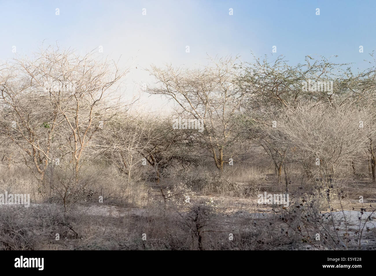 Senegal pollution hi-res stock photography and images - Alamy