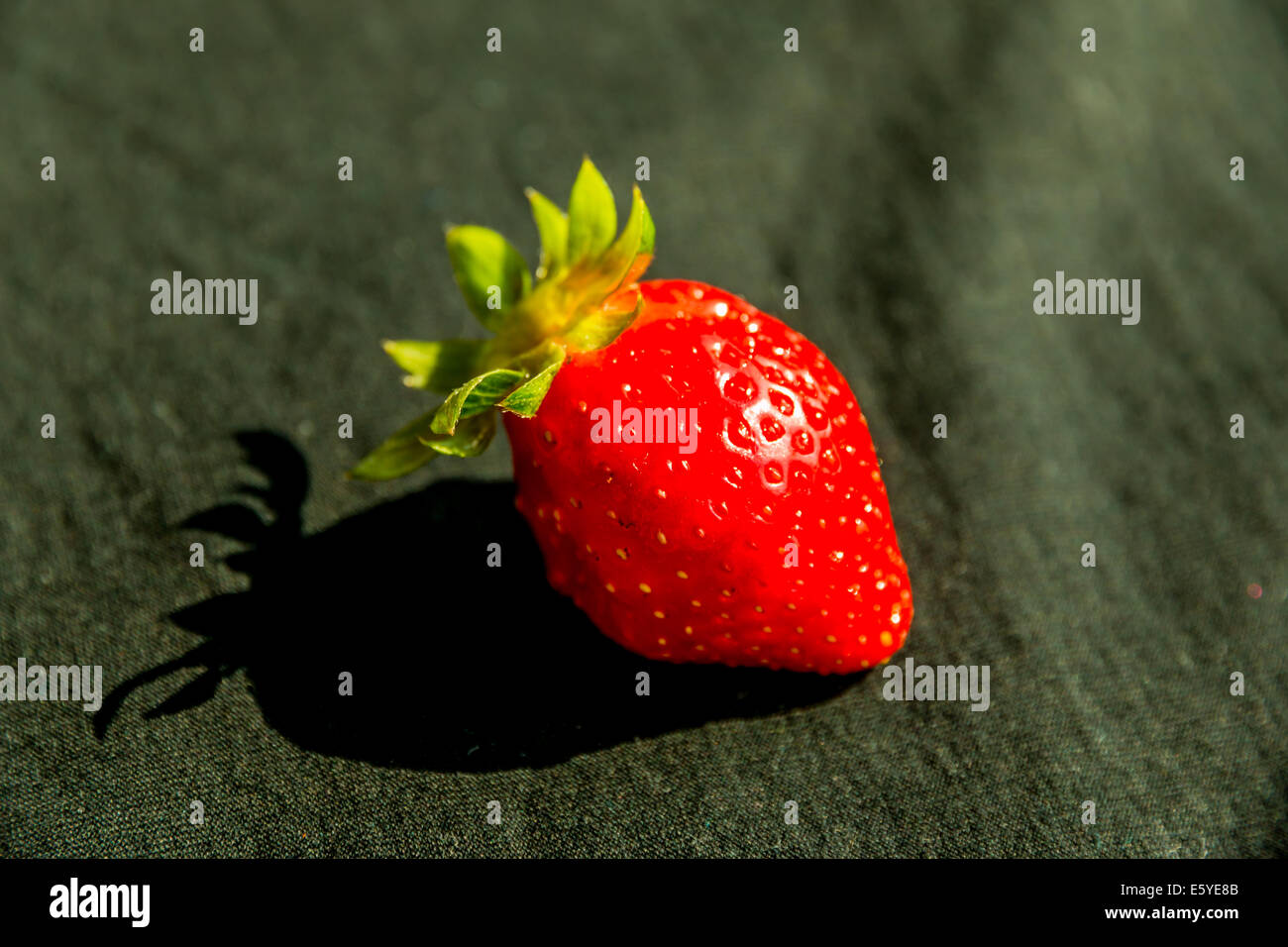 Real Strawberry in sun and shade Stock Photo - Alamy