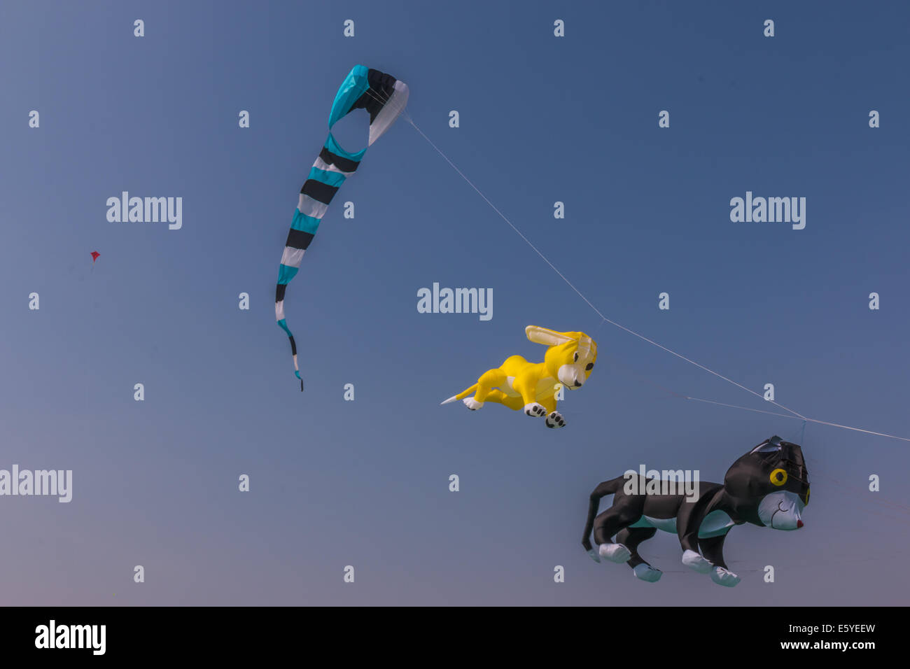 kite cat and mouse flying in blue sky Stock Photo - Alamy
