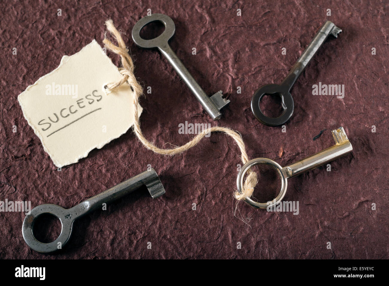 Only one of the keys is the key to success Stock Photo - Alamy