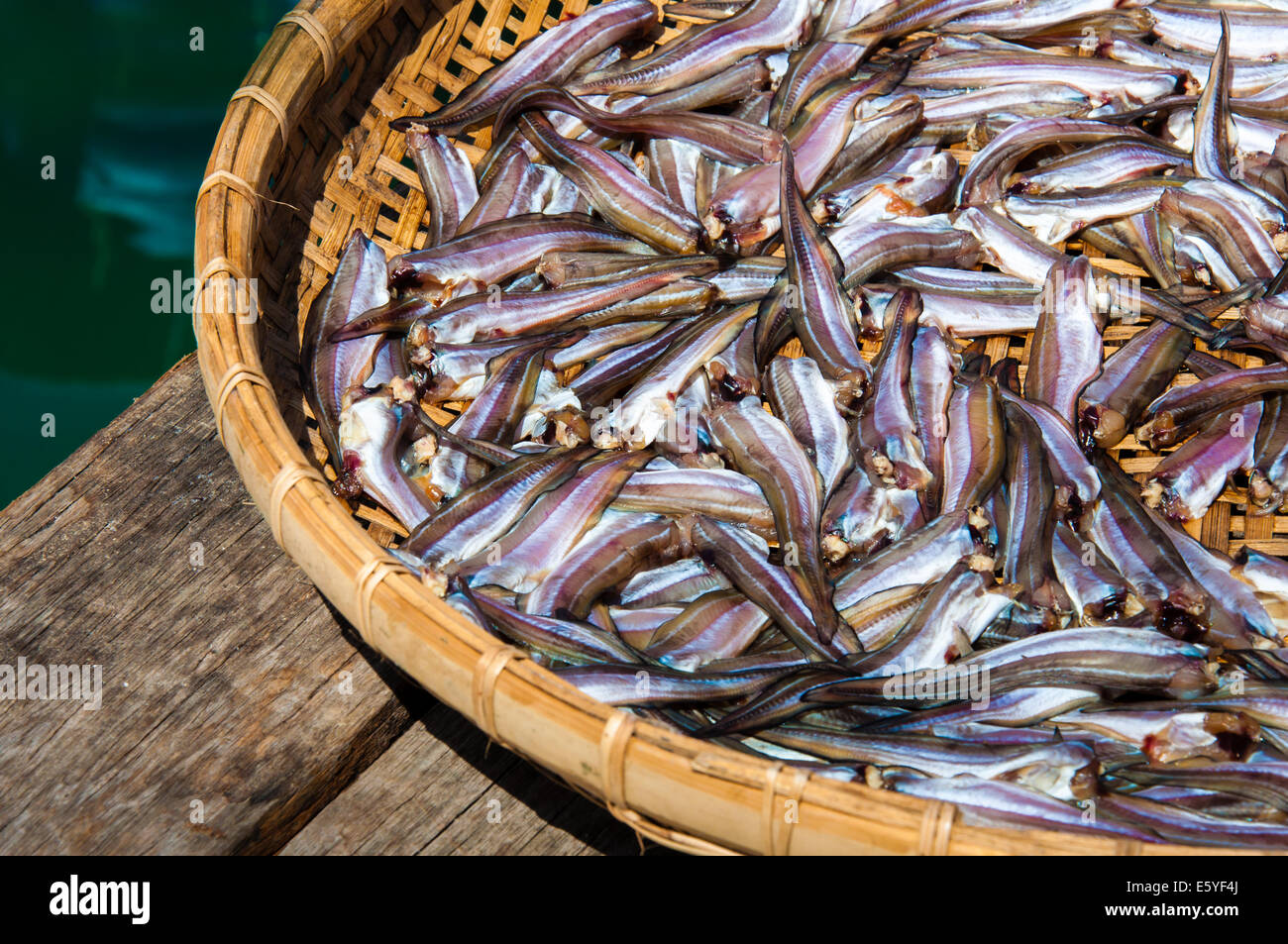 Drying Food In The Sun High Resolution Stock Photography and Images - Alamy