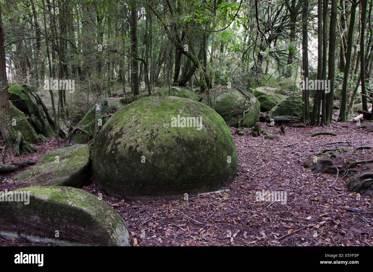 Spherical boulders, Whitecliff boulders, Mangaweka, Rangitiki, North ...
