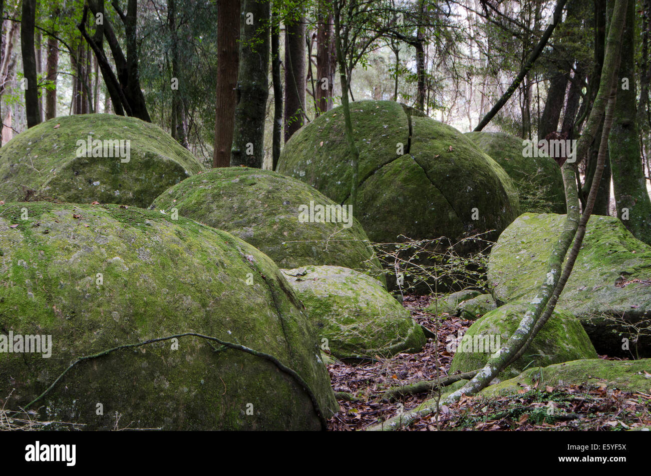 Spherical boulders, Mangaweka, Rangitiki, North Island, New Zealand ...