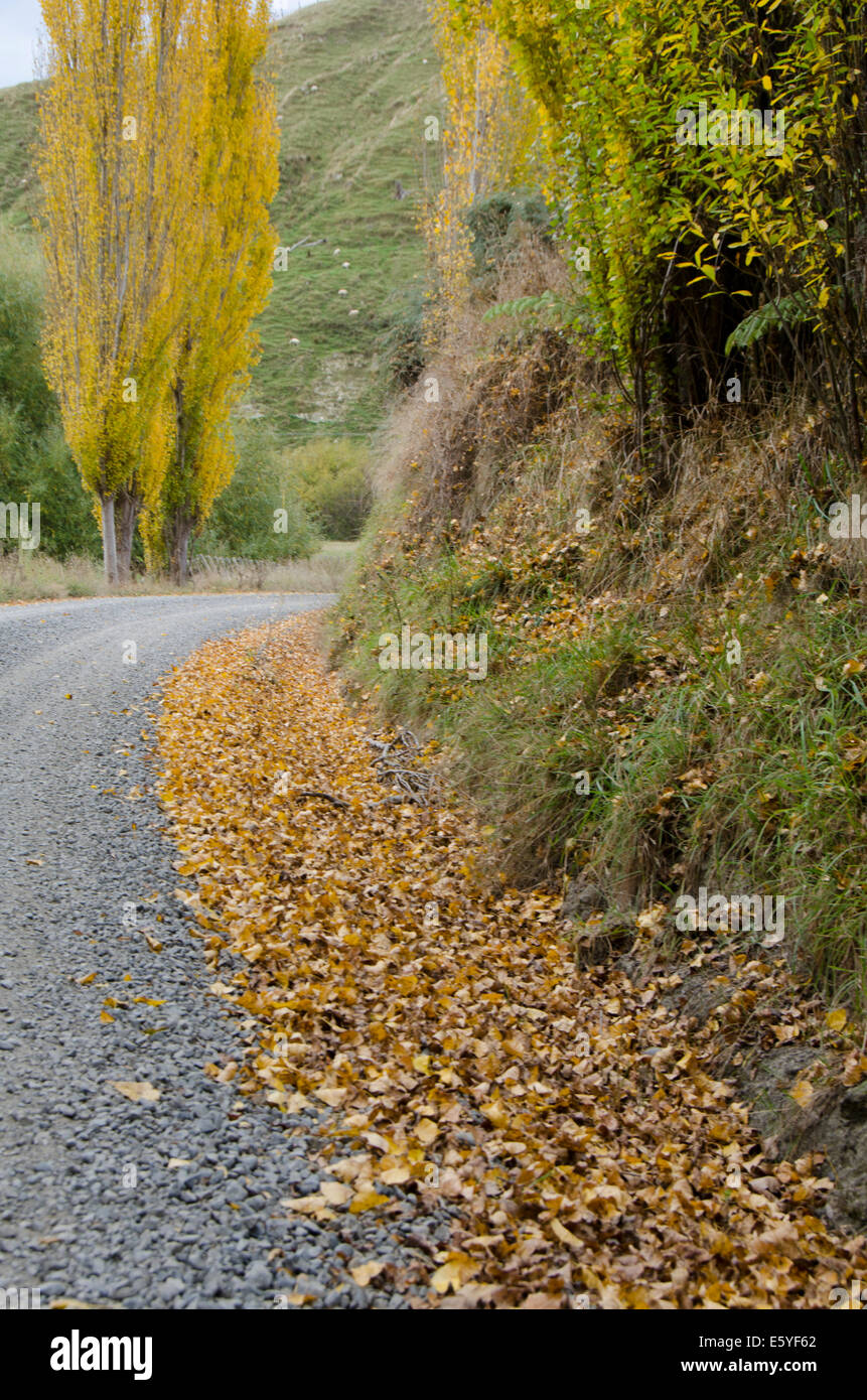 Rangitiki hi-res stock photography and images - Alamy