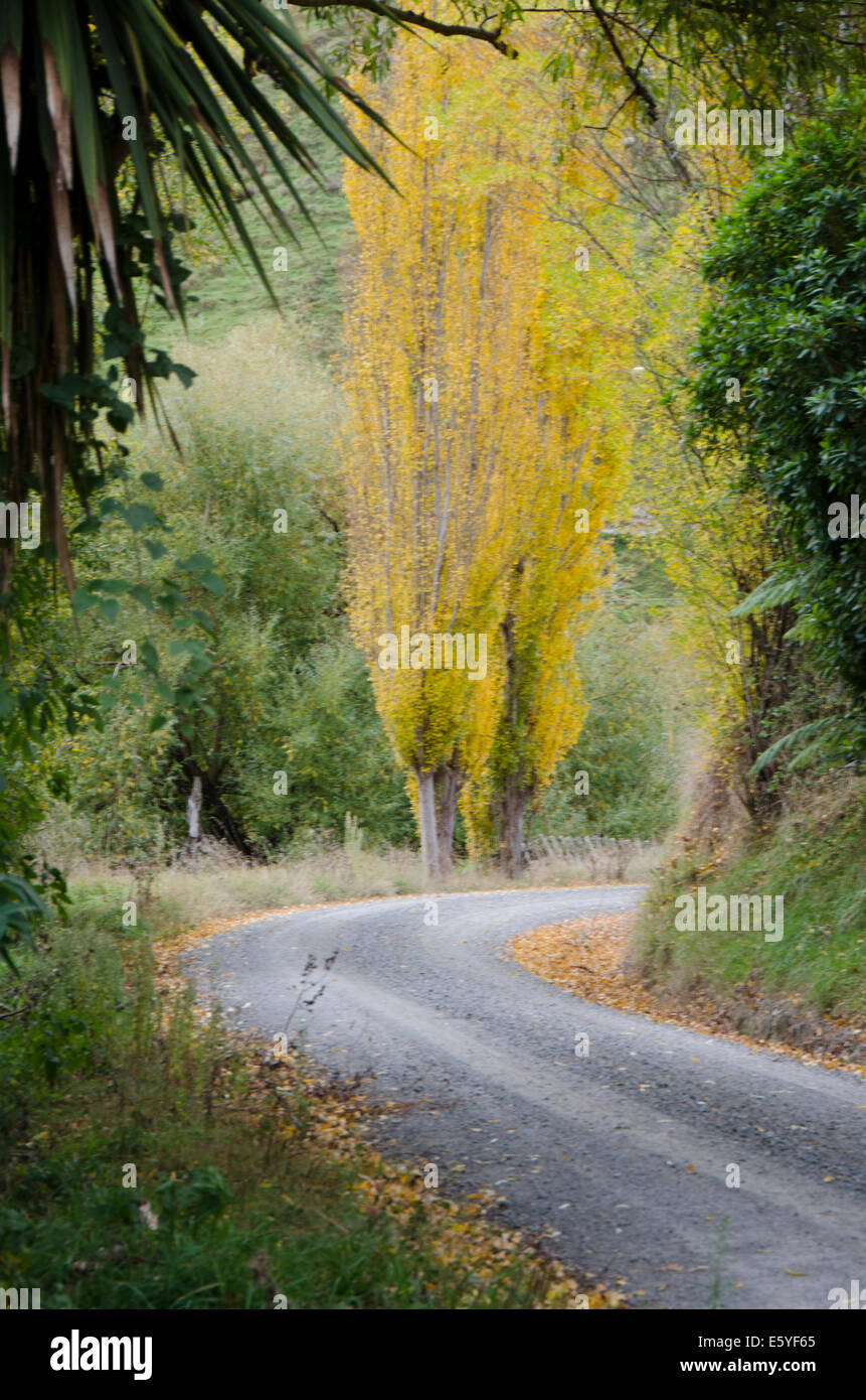 Rangitiki hi-res stock photography and images - Alamy