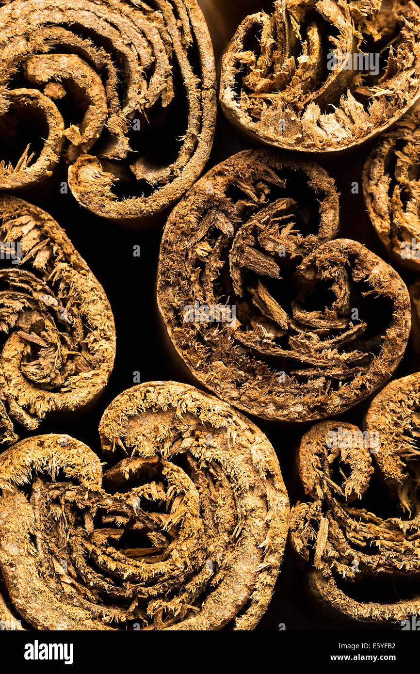 Cinnamon Close Up Stock Photo - Alamy