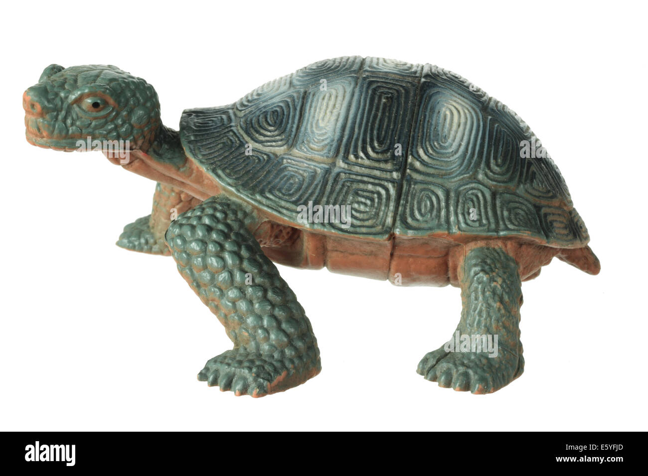Plastic tortoise hi-res stock photography and images - Alamy