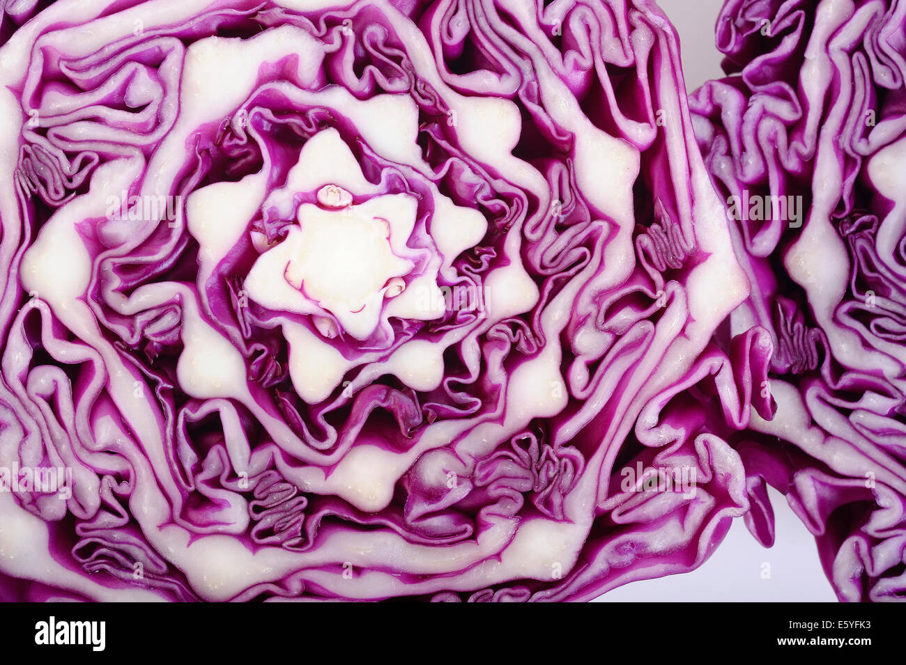 Cabbage cross section hi-res stock photography and images - Alamy