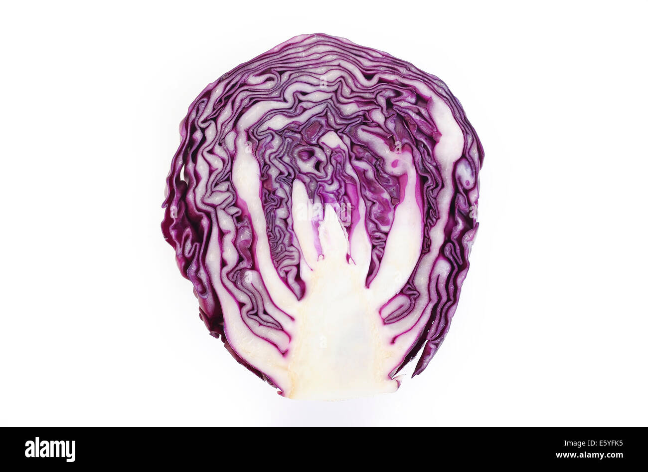 red cabbage cut in half on white background Stock Photo - Alamy