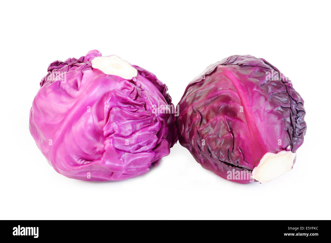 red cabbage isolated on white background Stock Photo - Alamy
