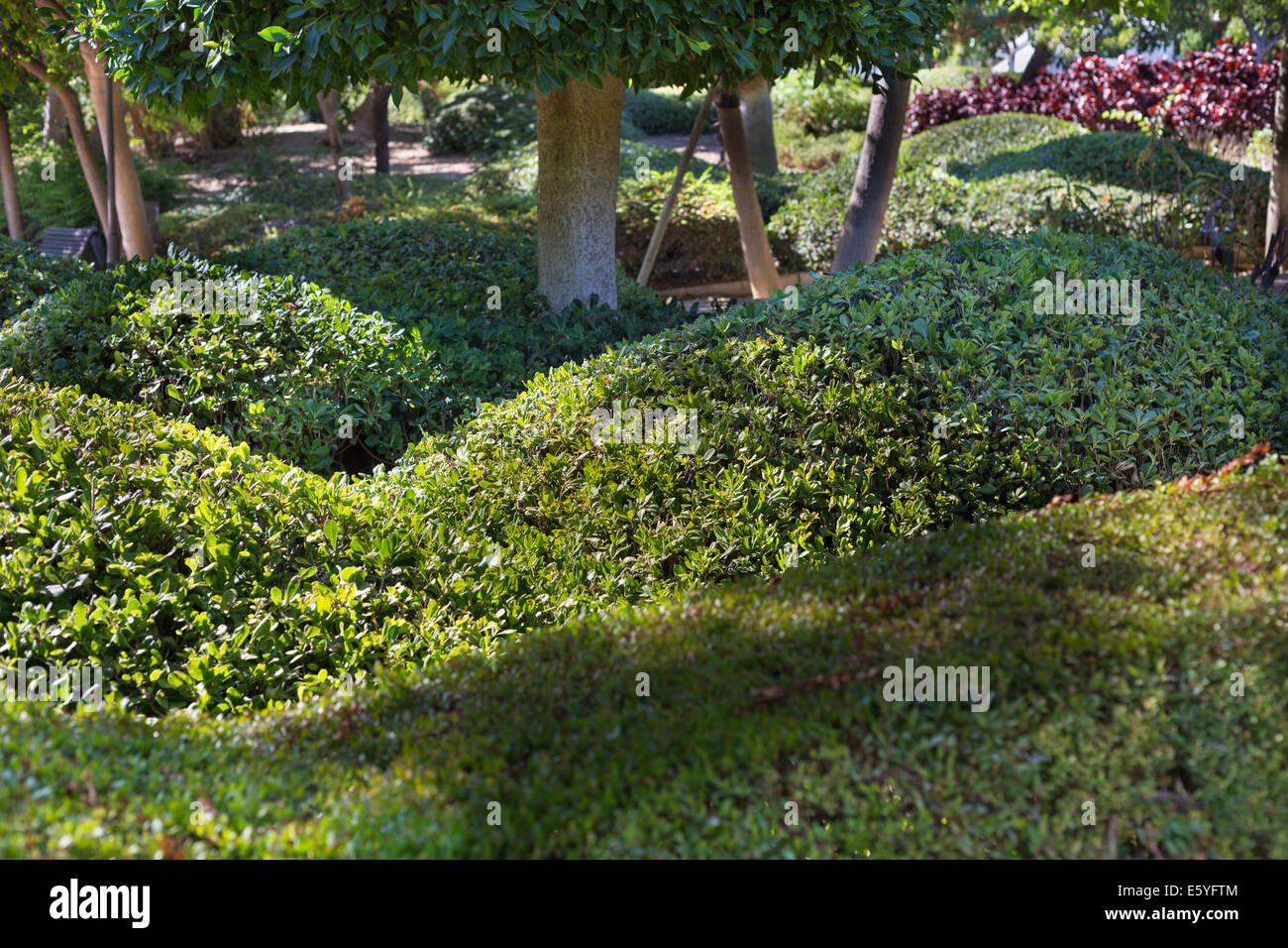 Wavy hedges hi-res stock photography and images - Alamy