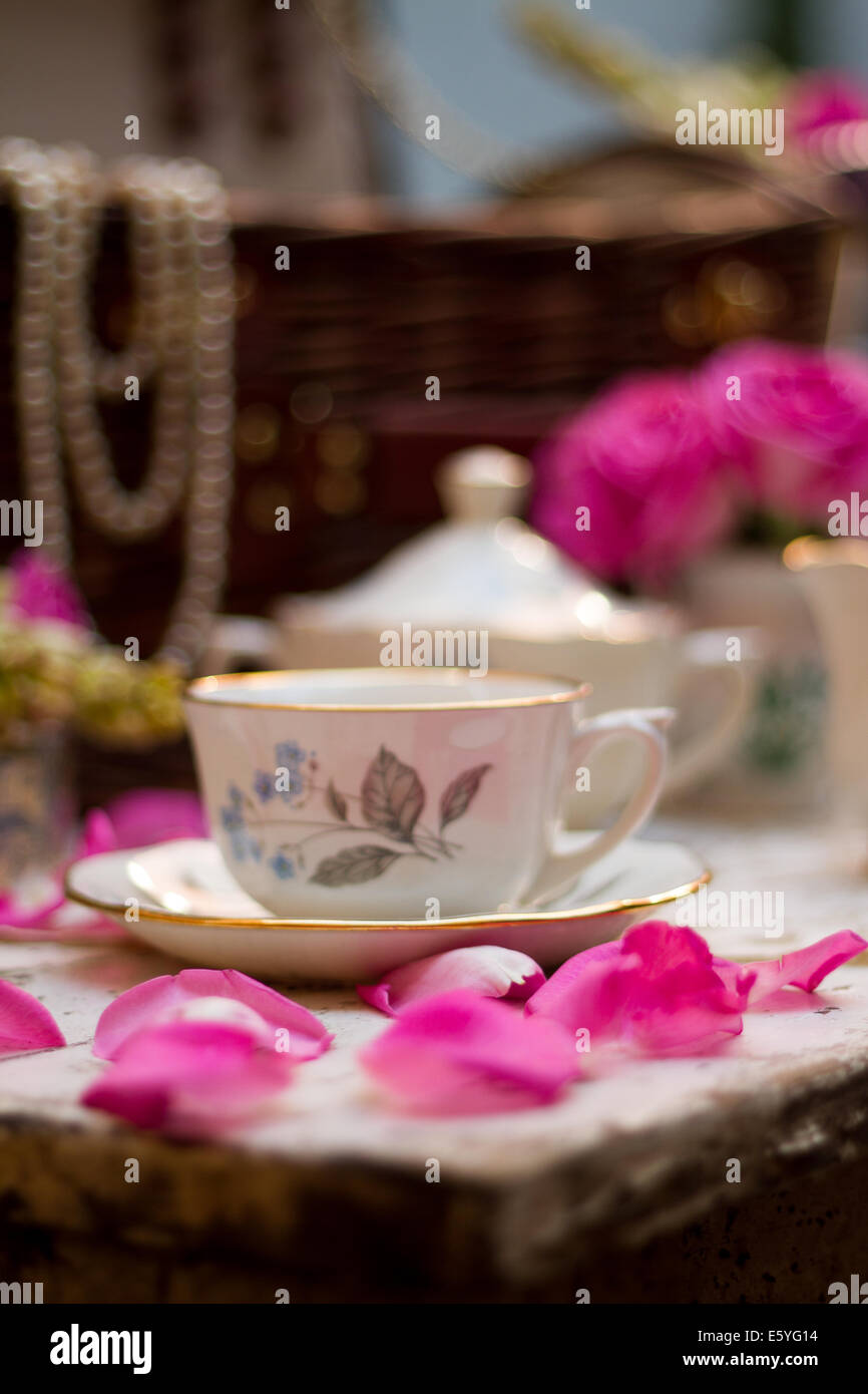 Old fashioned tea set in the garden with petals and flowers Stock Photo ...