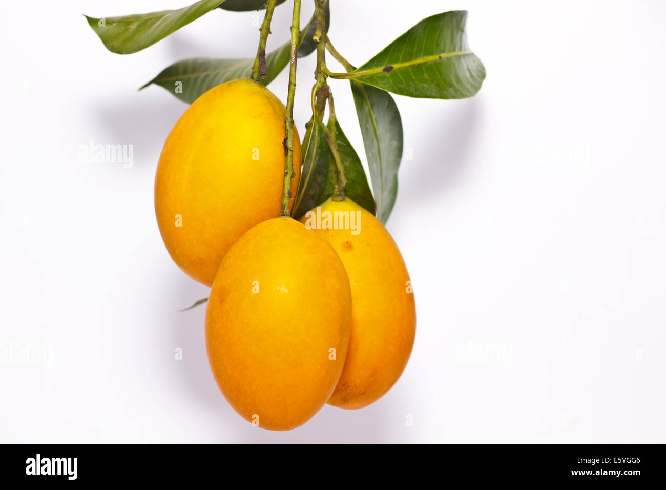 Maprang fruit hi-res stock photography and images - Alamy