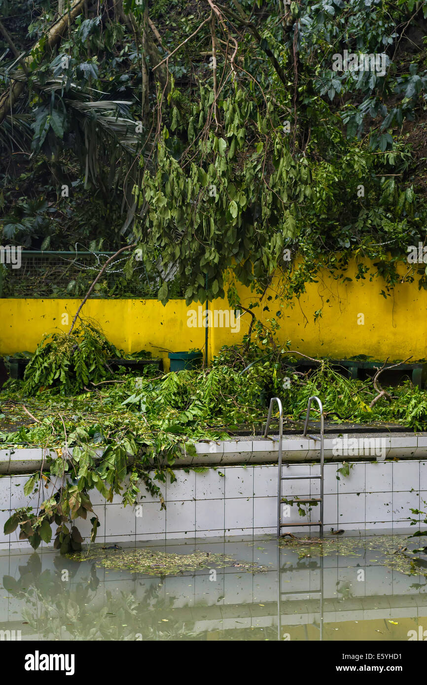 Strong typhoon hi-res stock photography and images - Alamy