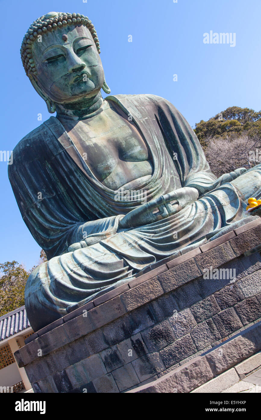 Kamakura,Japan - March 23 , 2014 : Great Buddha of Kamakura, dates from ...