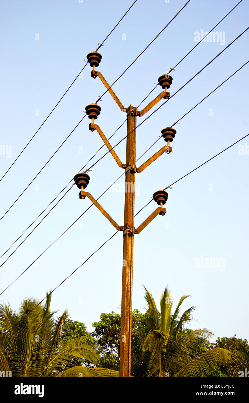 electric pole with wire and palm tree in asia Stock Photo - Alamy