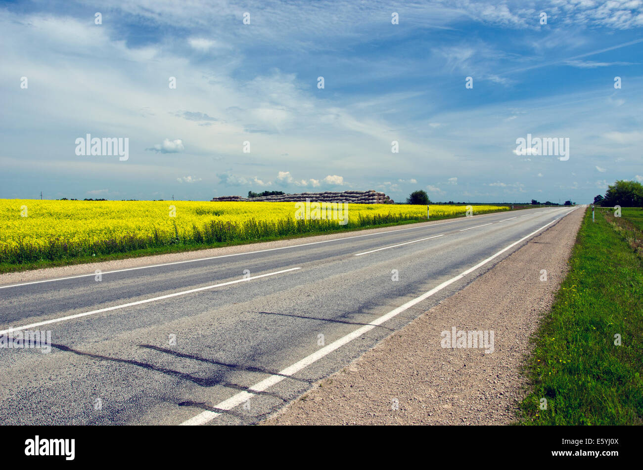 farmland landscape rural asphalt road in summertime Stock Photo - Alamy