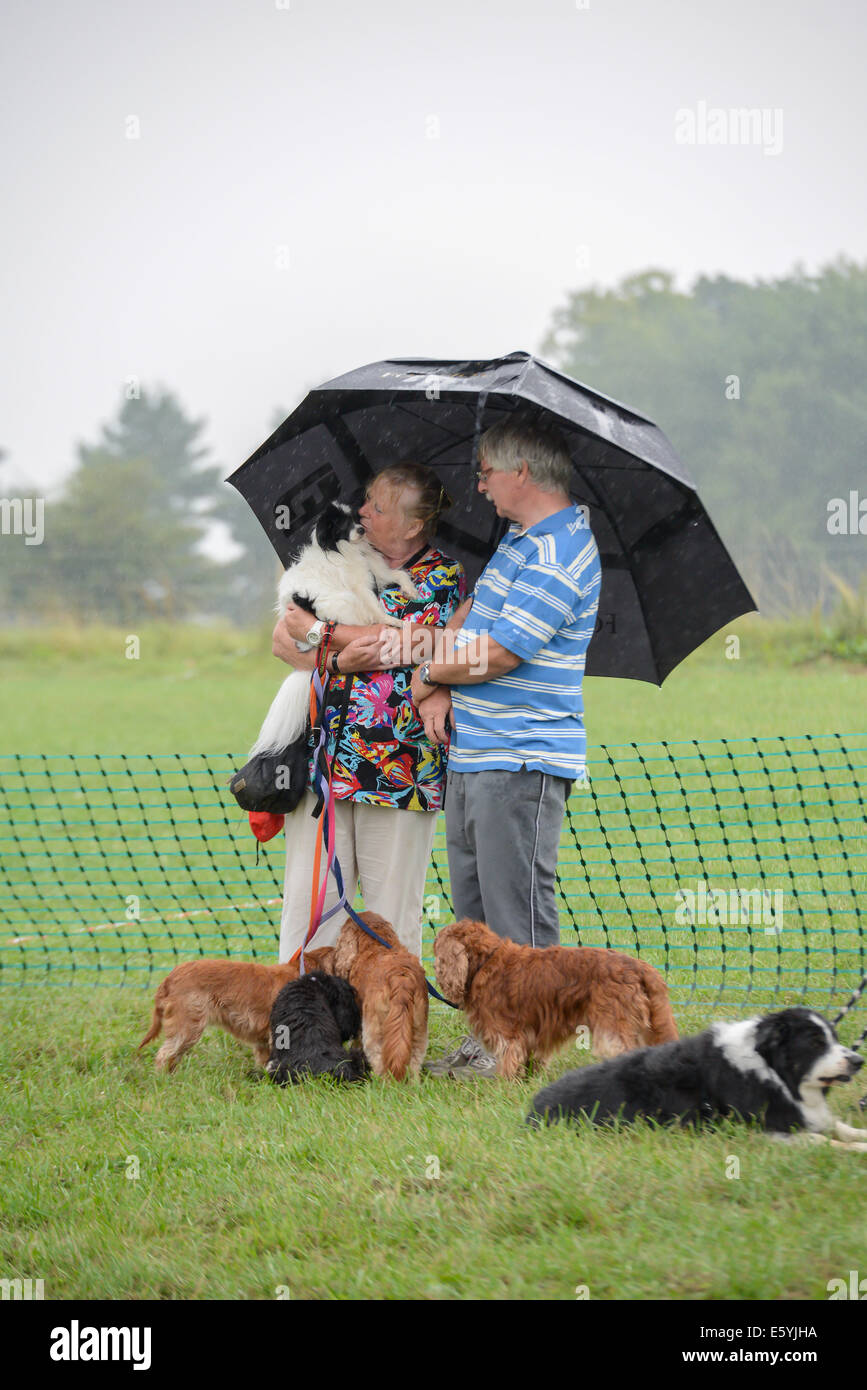 Guinness world record dog hi-res stock photography and images - Alamy