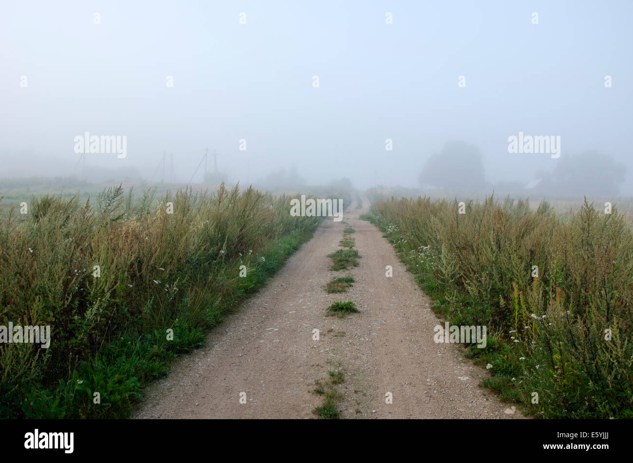 rural morning gravel road and dark mist fog Stock Photo - Alamy