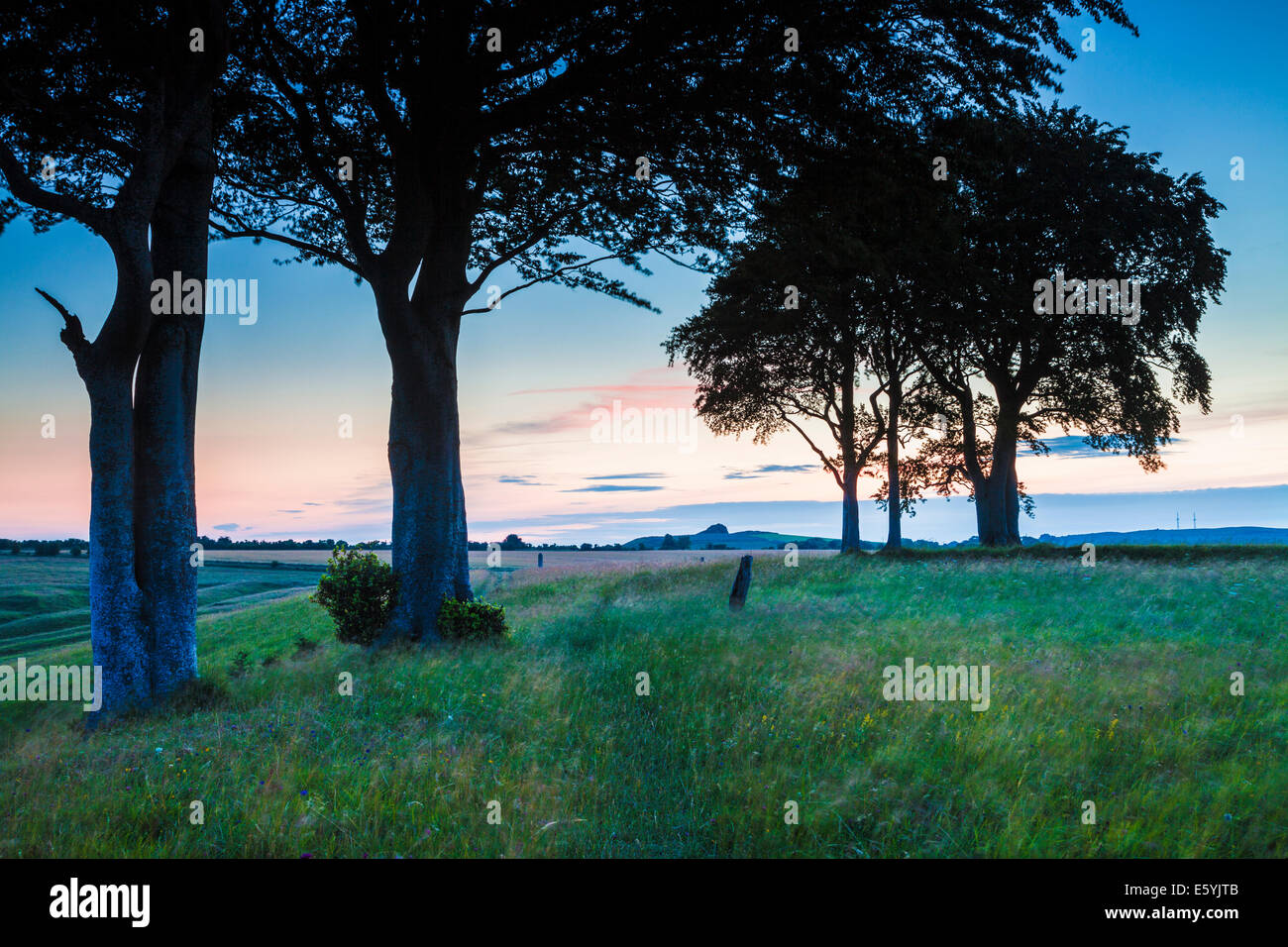 Sunrise from Oliver's Castle, an iron age hillfort on Roundway Hill ...