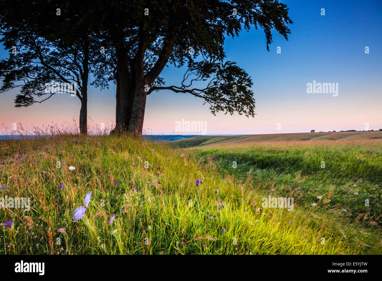 Sunrise from Oliver's Castle, an iron age hillfort on Roundway Hill ...