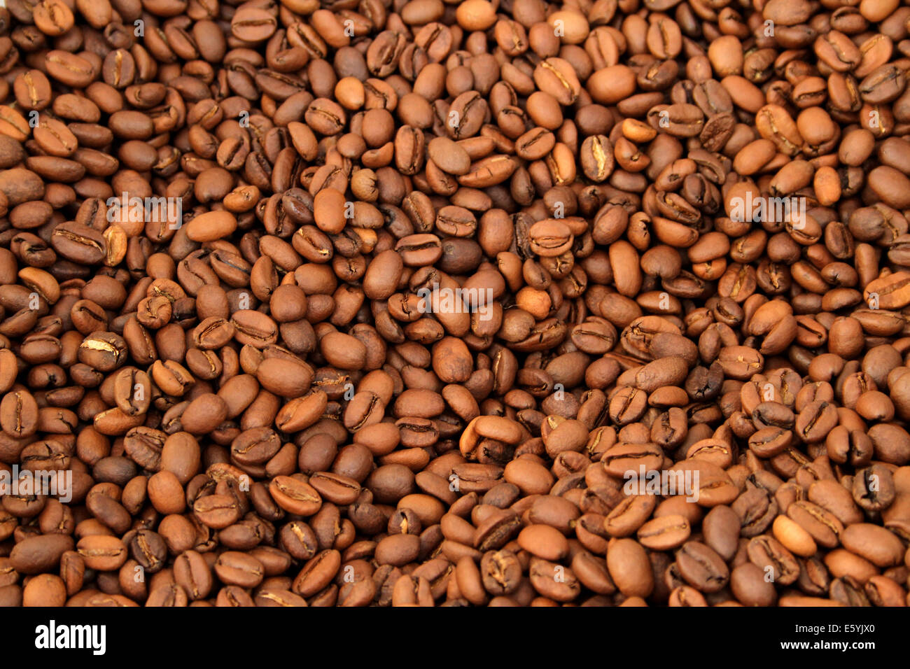 Coffee bean abstract background showing detail and differences of ...