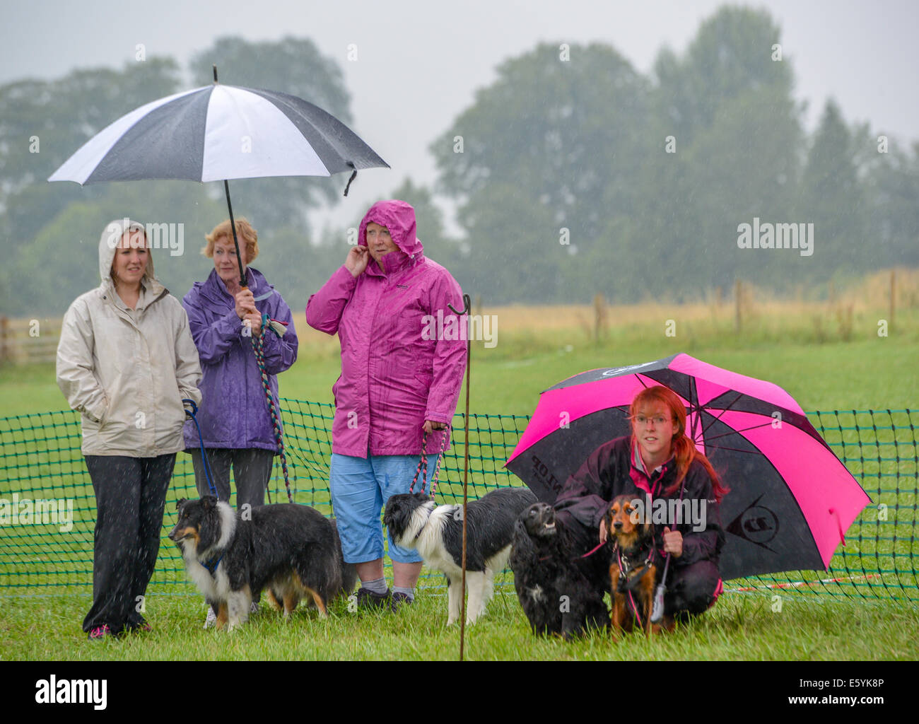 Guinness world record dog hi-res stock photography and images - Alamy