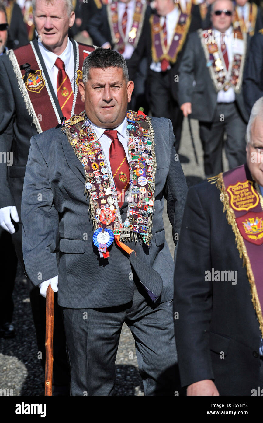 Siege of derry orange lodge banners hi-res stock photography and images ...