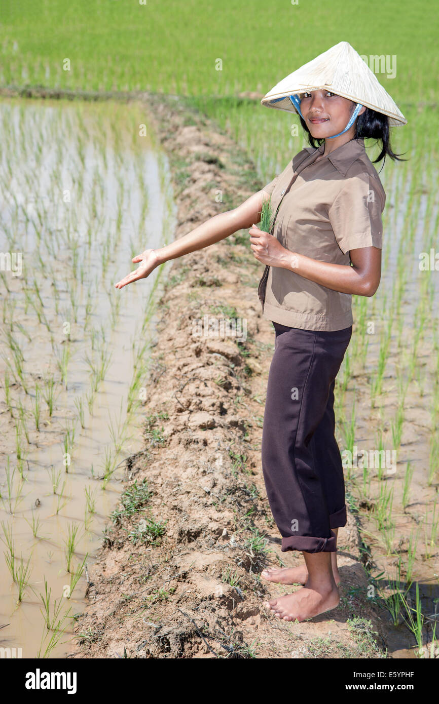 Asian rice hat hi-res stock photography and images - Alamy