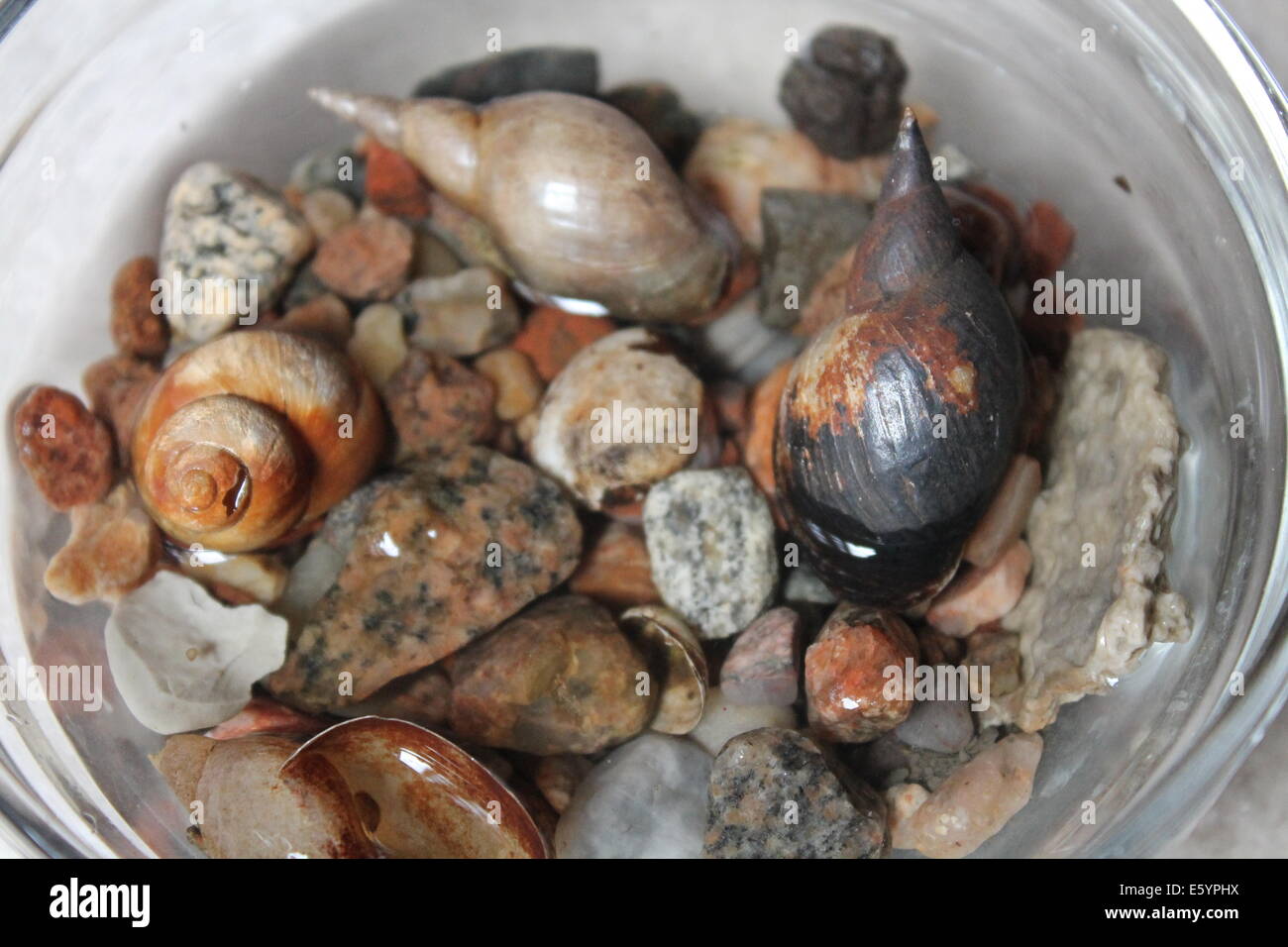 Summer wacation hi-res stock photography and images - Alamy