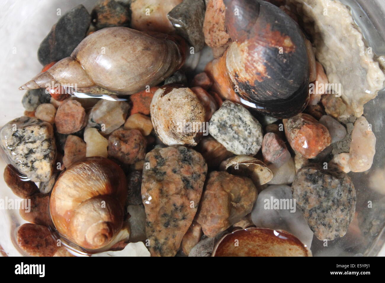 Limestone under sea hi-res stock photography and images - Alamy