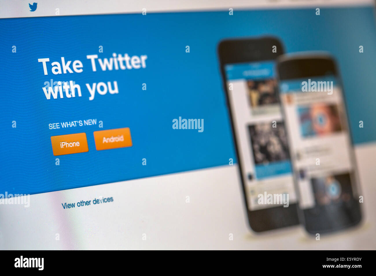 Twitter web page Stock Photo - Alamy