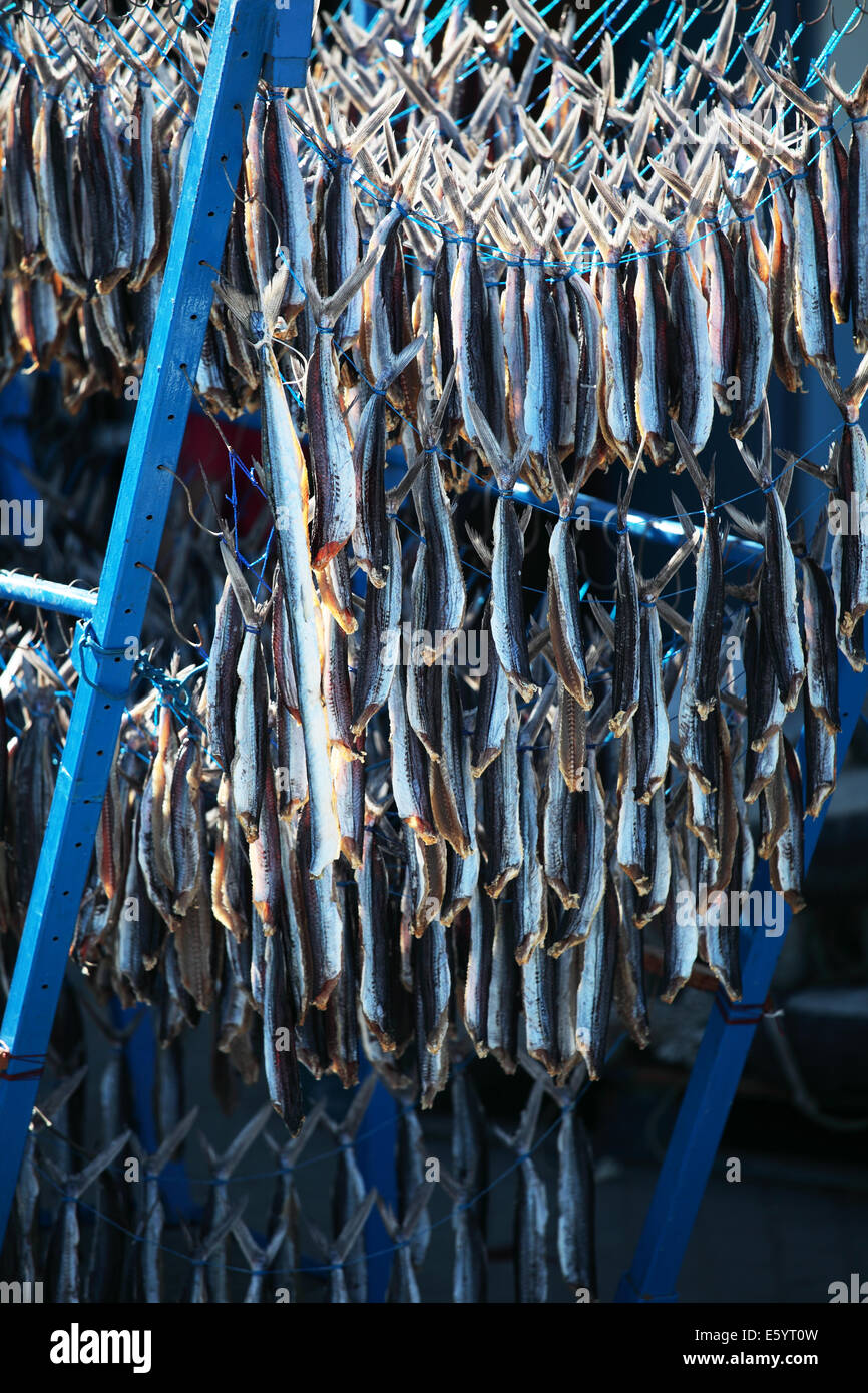 Mackerel scales hi-res stock photography and images - Alamy