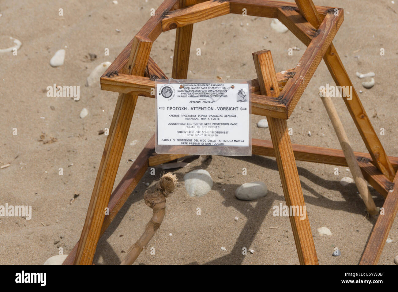 Dafni Beach, Zante - a protected turtle nesting bay with unauthorised ...