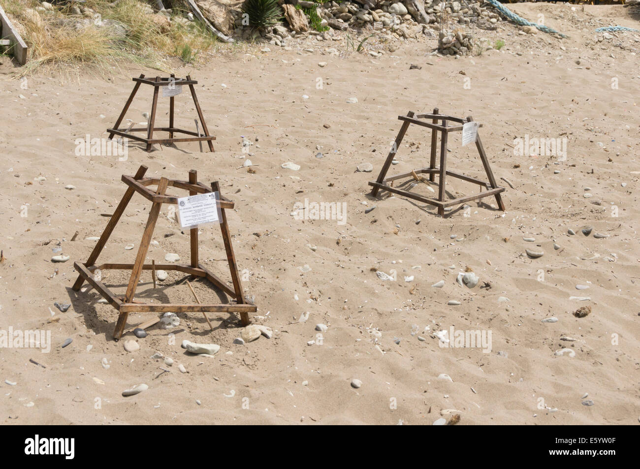 Dafni Beach, Zante - a protected turtle nesting bay with unauthorised ...
