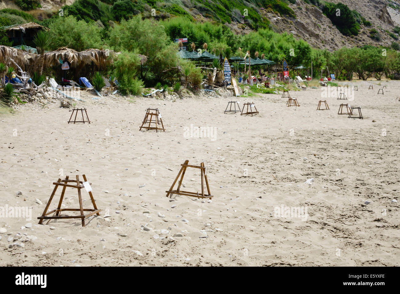 Dafni Beach, Zante - a protected turtle nesting bay with unauthorised ...