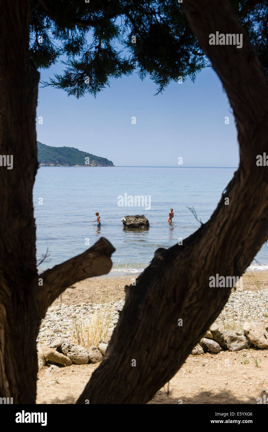 Dafni Beach, Zante - a protected turtle nesting bay with unauthorised ...