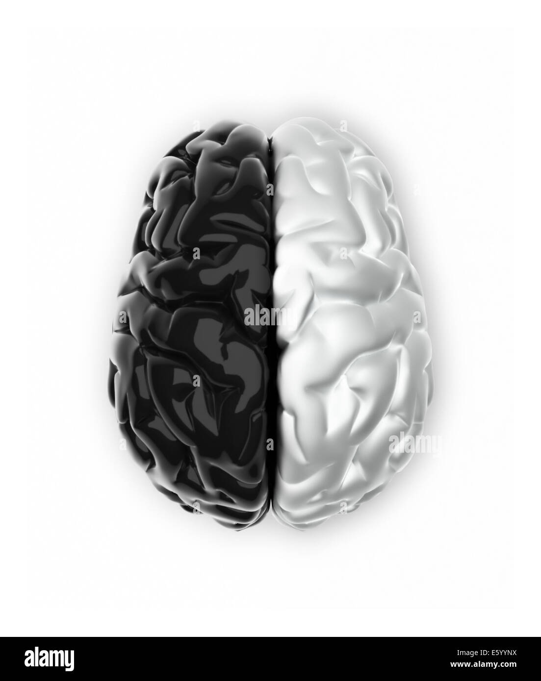 Psychology Brain Black And White