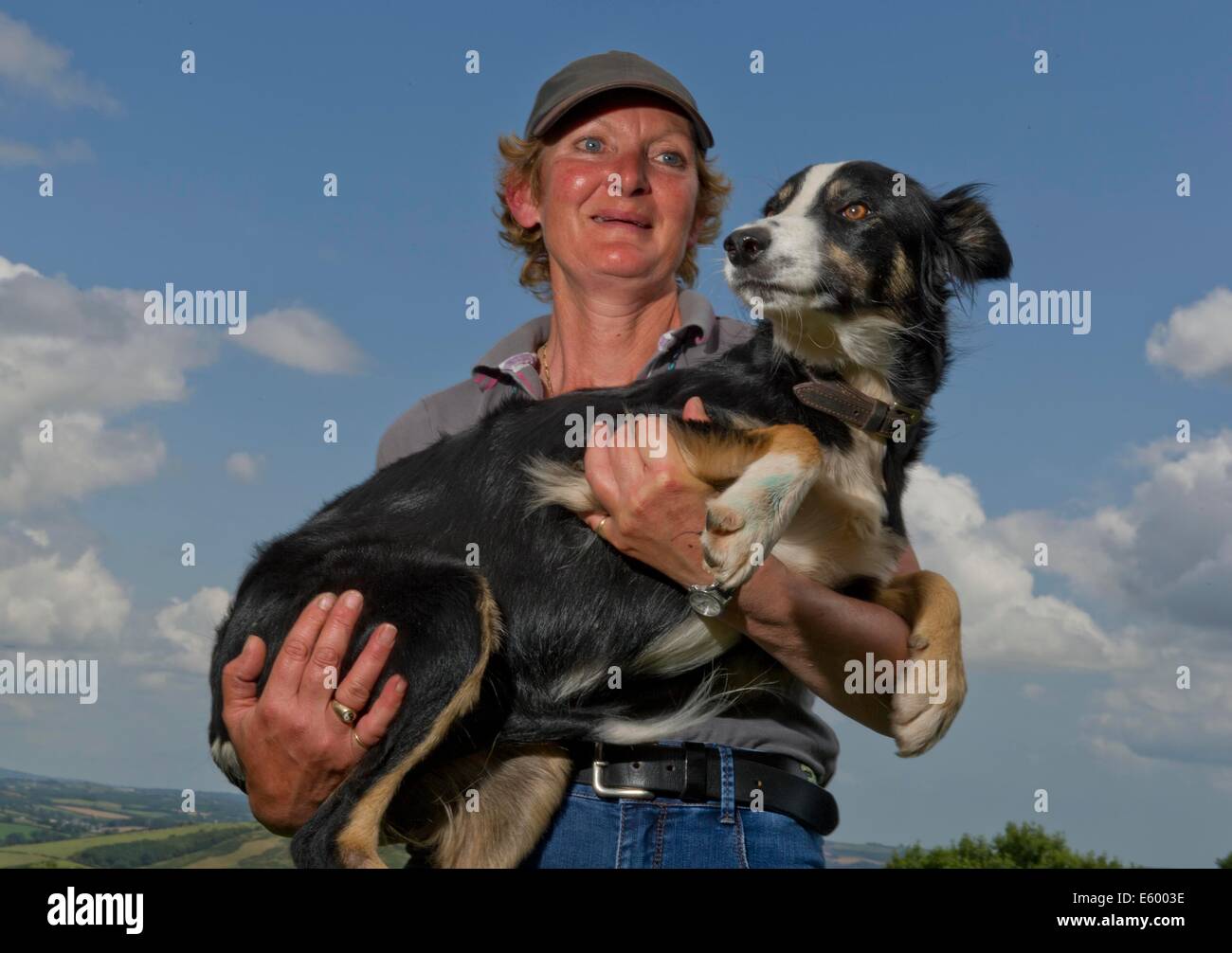 Sheepdog trials, Devonshire, UK Stock Photo - Alamy