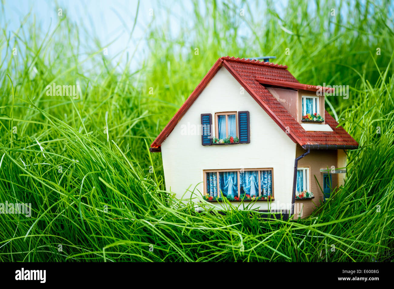 Little House on the green grass Stock Photo - Alamy