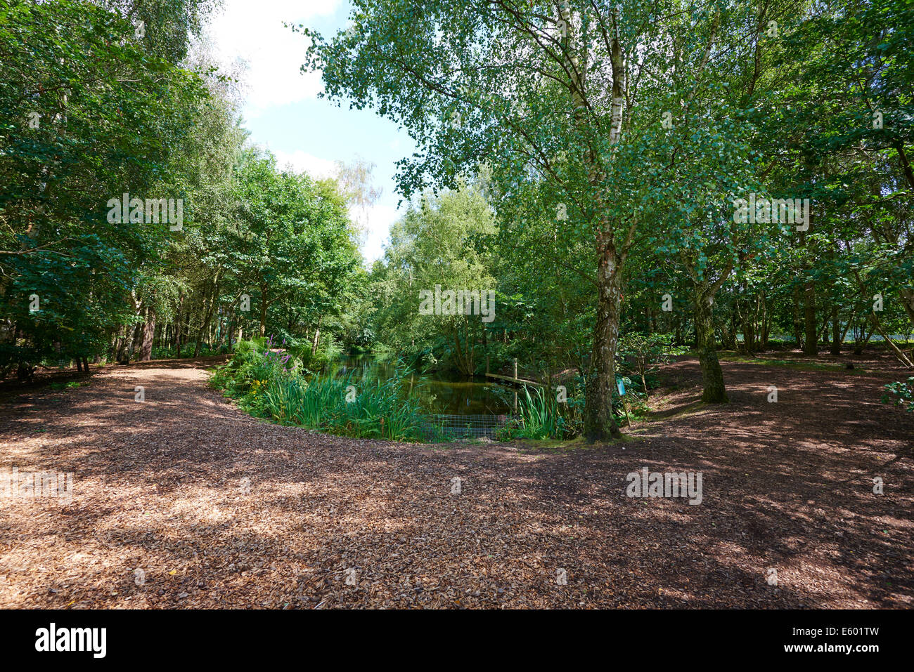 Wildlife Sanctuary Within Center Parcs Sherwood Forest Nottinghamshire ...