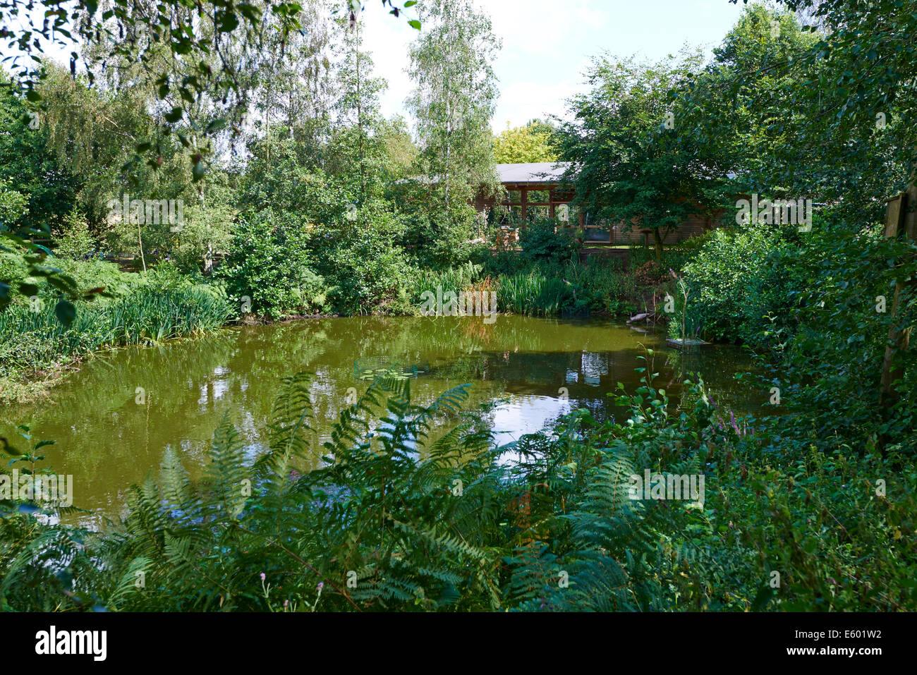 Wildlife Sanctuary Within Center Parcs Sherwood Forest Nottinghamshire ...