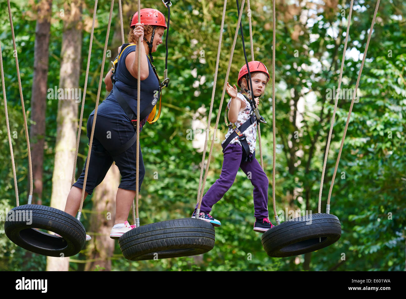 Aerial Tree Trekking Center Parcs Sherwood Forest UK Stock Photo - Alamy