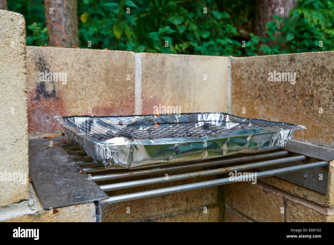 Disposable bbq hi-res stock photography and images - Alamy