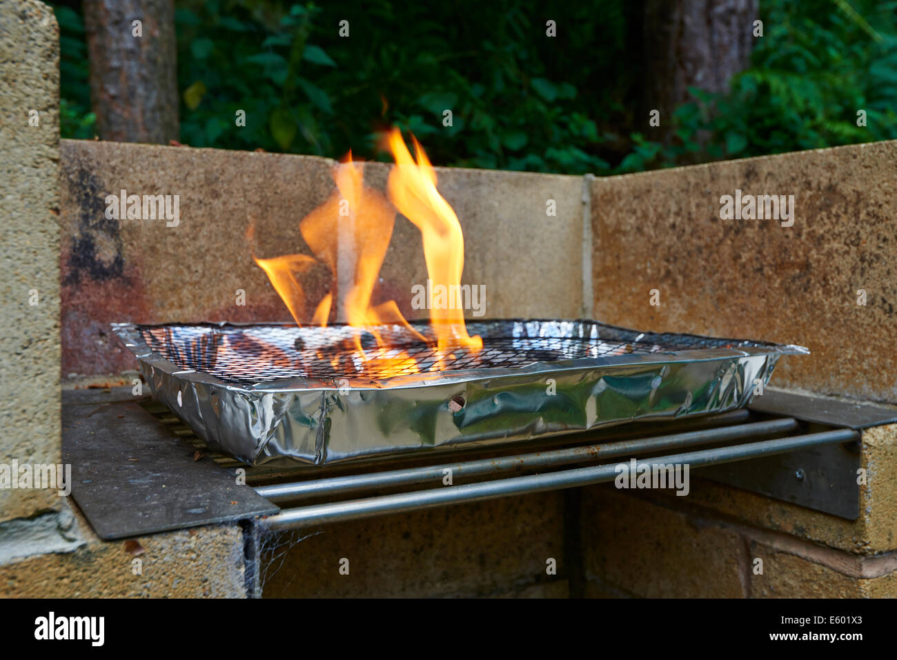 Disposable bbq hi-res stock photography and images - Alamy