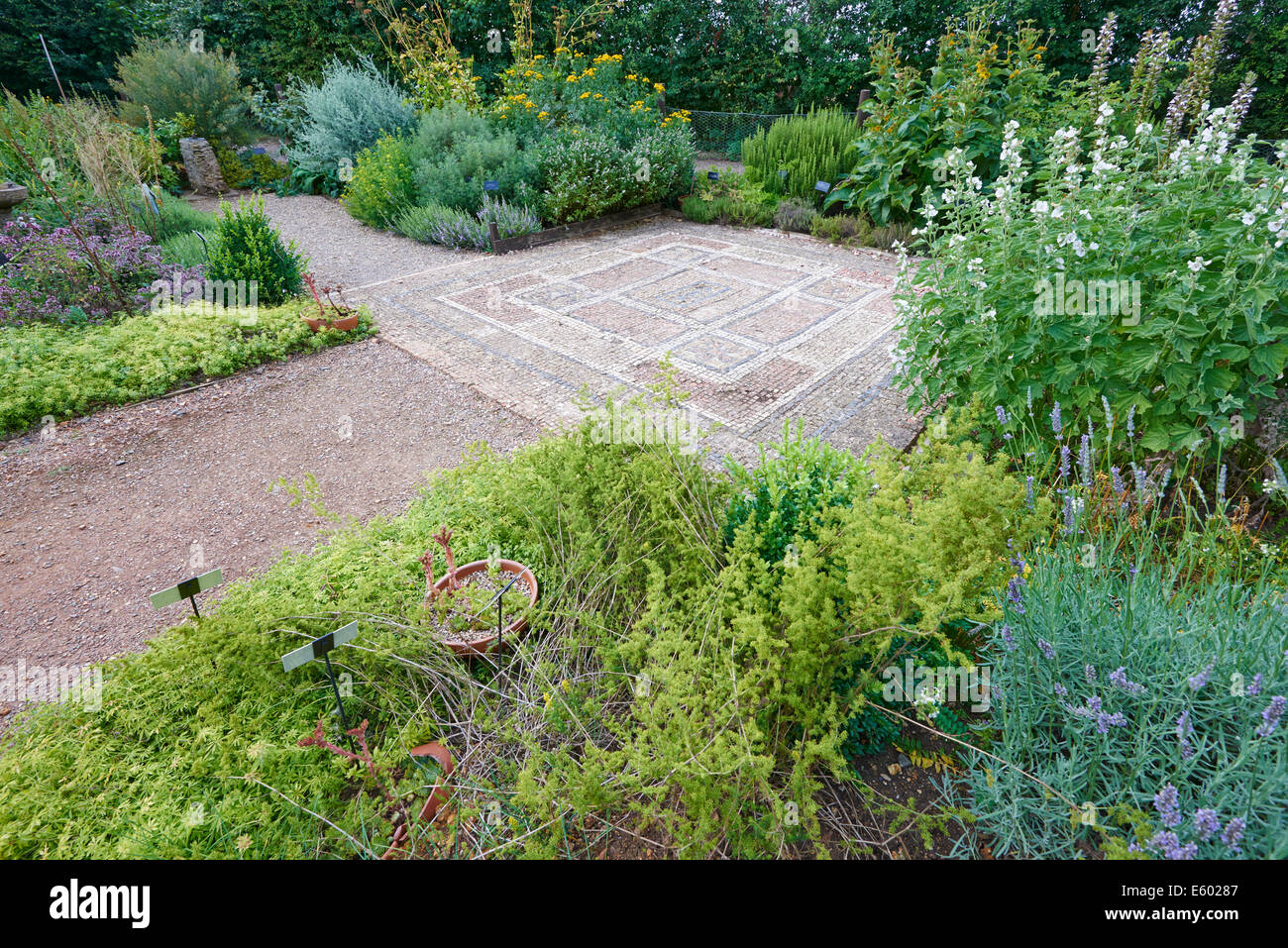 Roman Herb Garden At Flag Fen Bronze Age Centre Fenland Cambridgeshire ...