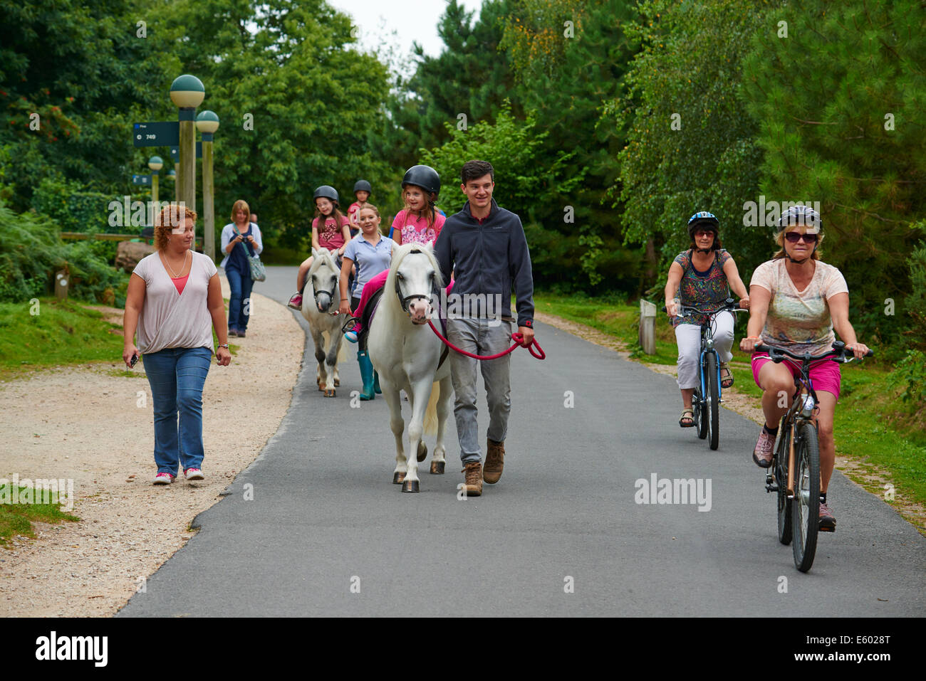 Pony Riding And Cyclists On The Cycle Path Center Parcs Sherwood Forest ...