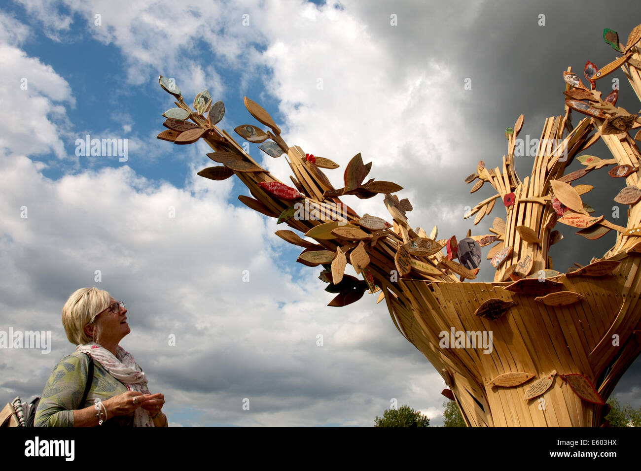 A WW1 memorial tree at the National Memorial Arboretum, Alrewas ...